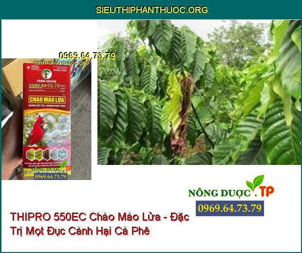 THIPRO 550EC Chào Mào Lửa- Đặc Trị Rệp Sáp- Mọt Đục Cành- Ruồi Vàng ...
