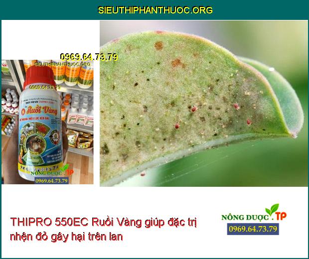 THIPRO 550EC Ruồi Vàng-Đặc Trị Rầy Xanh-Rệp Sáp-Nhện Đỏ-Ruồi Vàng-Sâu ...