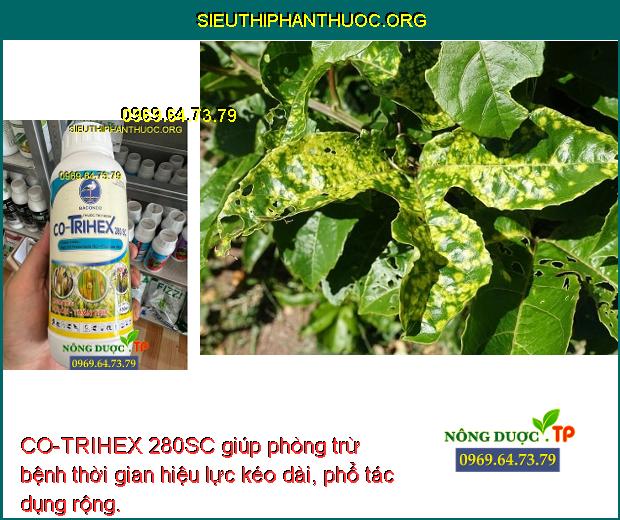 CO-TRIHEX 280SC- Đặc Trị Thán Thư- Đạo Ôn- Héo Xanh- Nấm Bệnh. - SIÊU ...