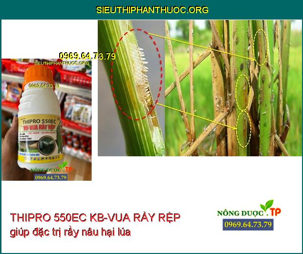 THIPRO 550EC KB-VUA RẦY RỆP-Đặc Trị Rầy Nâu-Rệp Sáp-Bọ Trĩ- Nhện Đỏ-Rầy ...