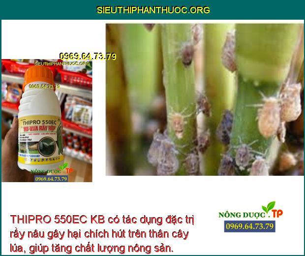 THIPRO 550EC KB-VUA RẦY RỆP-Đặc Trị Rầy Nâu-Rệp Sáp-Bọ Trĩ- Nhện Đỏ-Rầy ...