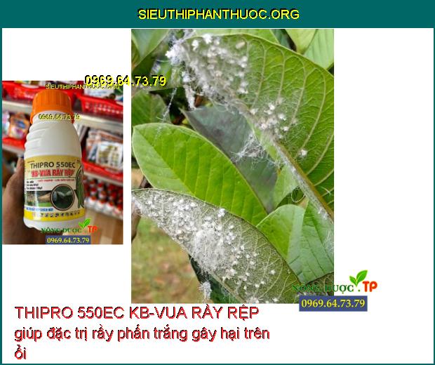 THIPRO 550EC KB-VUA RẦY RỆP-Đặc Trị Rầy Nâu-Rệp Sáp-Bọ Trĩ- Nhện Đỏ-Rầy ...
