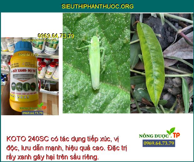 KOTO 240SC- Đặc Trị Rầy Xanh- Bọ Trĩ- Rệp Sáp- Nhóm Chích Hút. - SIÊU ...
