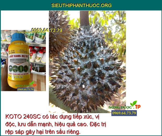 KOTO 240SC- Đặc Trị Rầy Xanh- Bọ Trĩ- Rệp Sáp- Nhóm Chích Hút. - SIÊU ...