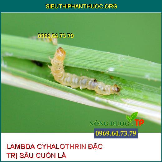 Top 7 Những loại thuốc có chứa hoạt chất Lambda Cyhalothrin . P.1 ...