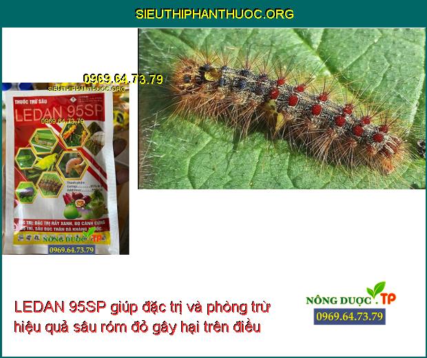 LEDAN 95SP- Đặc Trị Rầy Xanh- Bọ Cánh Cứng- Bọ Trĩ- Sâu Đục Thân Đã ...