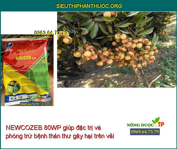 NEWCOZEB 80WP- Đặc Trị Thán Thư- Nấm Bệnh- Héo Xanh- Lem Lép Hạt ...