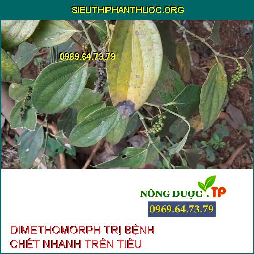 Top 10 Những loại thuốc có chứa hoạt chất Dimethomorph . P.1 - SIÊU THỊ ...