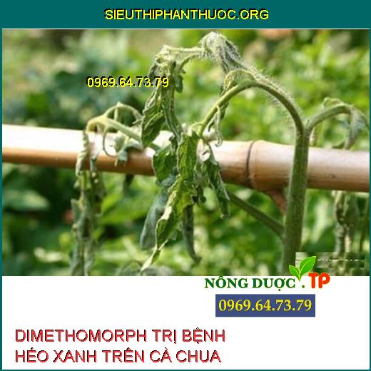 Top 10 Những loại thuốc có chứa hoạt chất Dimethomorph . P.1 - SIÊU THỊ ...