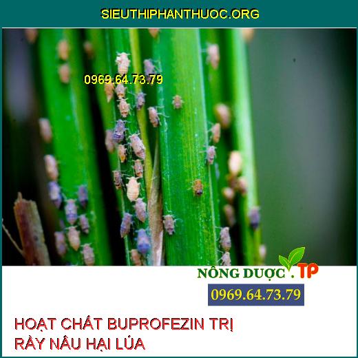 Top 10 Những loại thuốc có chứa hoạt chất Buprofezin . P.1 - SIÊU THỊ ...
