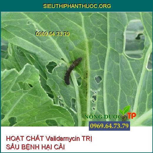 Top 8 Những loại thuốc có chứa hoạt chất Validamycin . P.1 - SIÊU THỊ ...