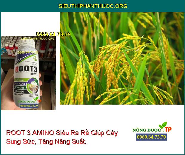 ROOT 3 AMINO Siêu Ra Rễ- Nảy Mầm- Ra Rễ Mạnh- Đẻ Nhánh- Khử Phèn ...