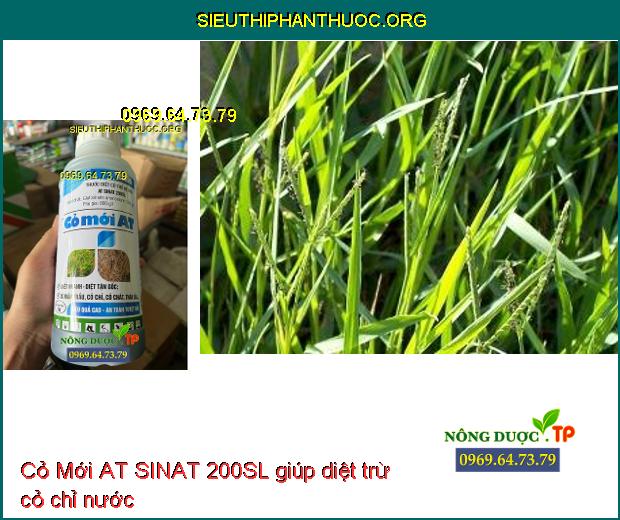 Cỏ Mới AT SINAT 200SL- Diệt Cỏ Nhanh, Tận Gốc- Diệt Trừ Những Cỏ Khó ...