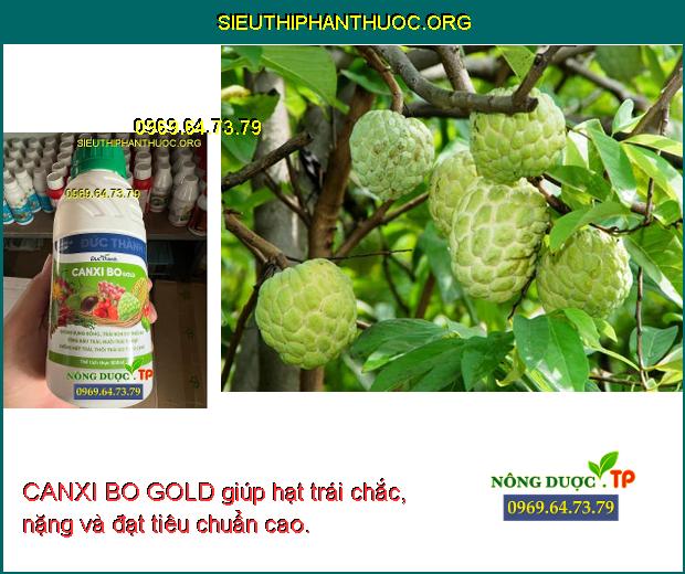 CANXI BO GOLD- Chống Rụng Trái- Tăng Đậu Trái- Nuôi Trái To Đẹp. - SIÊU ...