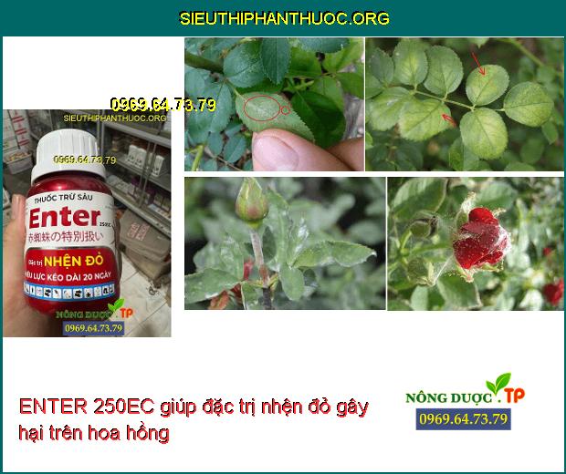 ENTER 250EC- Đặc Trị Nhện Đỏ- Ung Trứng Nhện- Hiệu Lực Kéo Dài. - SIÊU ...