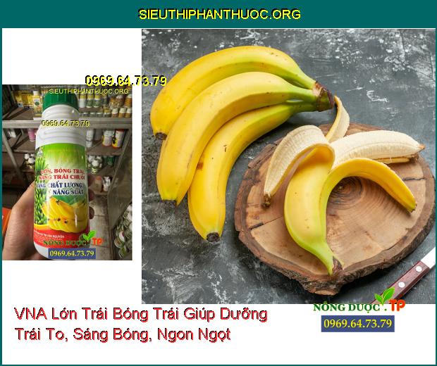 VNA Lớn Trái Bóng Trái- Nặng Trái Chuối- Tăng Chất Lượng, Tăng Năng ...