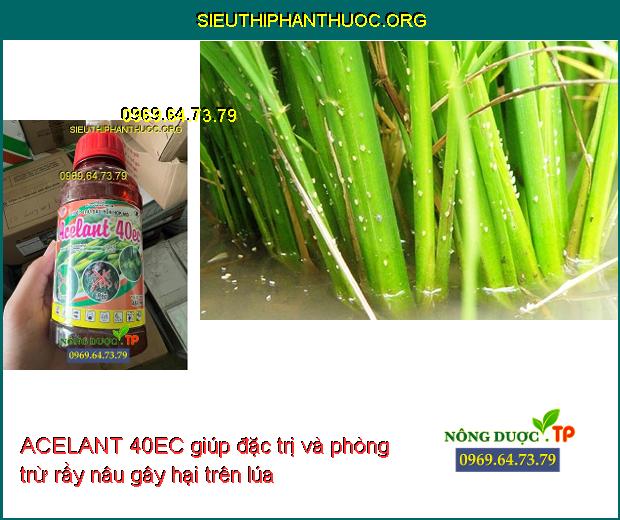 ACELANT 40EC- Đặc Trị Rầy Nâu- Rệp- Bọ Trĩ- Rầy Cám- Côn Trùng Chích ...
