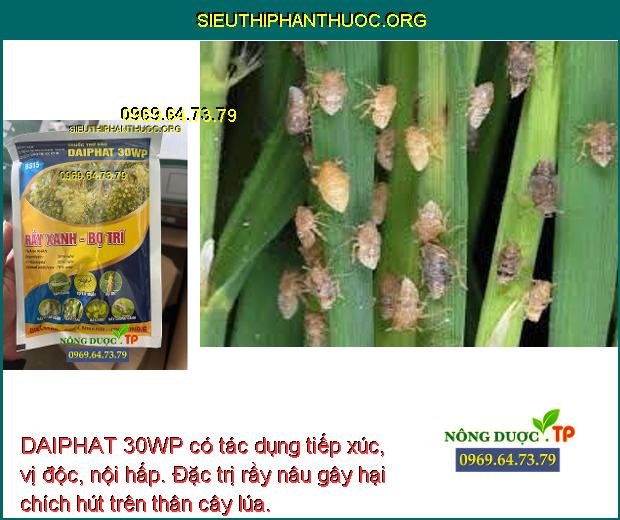 DAIPHAT 30WP- Đặc Trị Rầy Xanh- Bọ Trĩ- Rầy Nhớt- Bọ Xít Muỗi- Rầy Cám ...