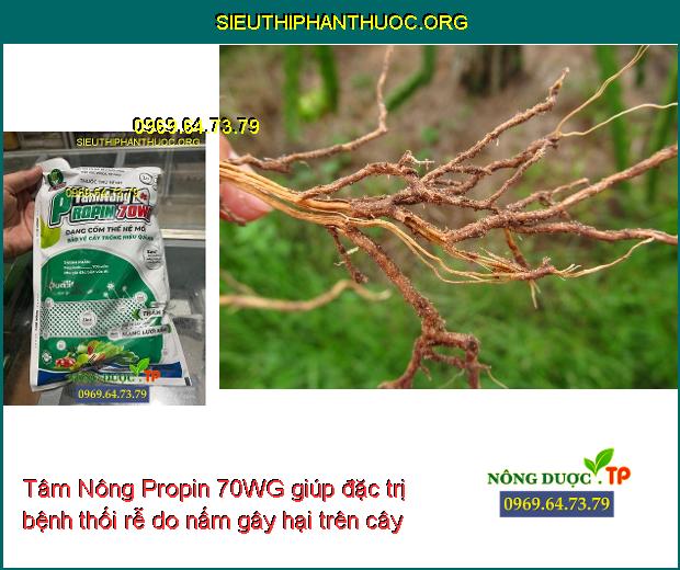 Tâm Nông Propin 70WG- Đặc Trị Nấm Bệnh- Thán Thư- Mốc Sương. - SIÊU THỊ ...