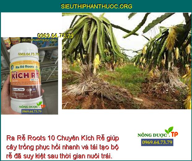 Ra Rễ Roots 10 Chuyên Kích Rễ- Kích Ra Rễ- Phục Hồi Bộ Rễ- Kích Bộ Rễ ...