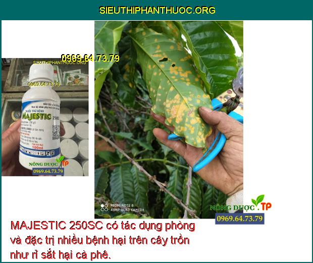 MAJESTIC 250SC- Đặc Trị Thán Thư- Héo Xanh- Mốc Xám- Sương Mai- Rỉ Sắt ...