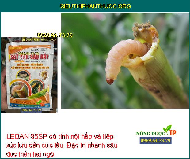 LEDAN 95SP Sát Thủ Sâu Rầy- Đặc Trị Rầy Nâu- Sâu Đục Thân- Bọ Trĩ- Rầy ...