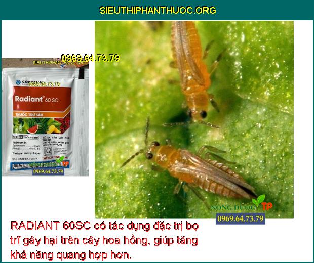 RADIANT 60SC- Đặc Trị Bọ Trĩ- Dòi Đục Lá- Sâu Đục Quả- Bọ Trĩ- Sâu Vẽ ...