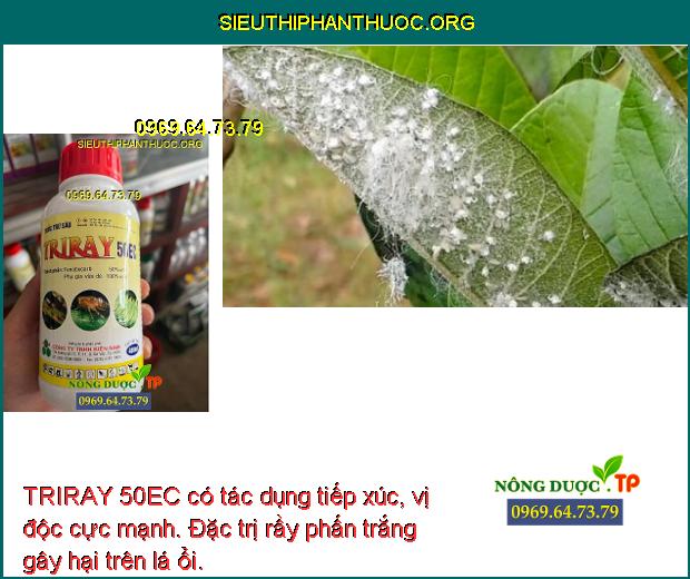TRIRAY 50EC- Đặc Trị Rầy Nâu- Rầy Xanh- Rầy Chổng Cánh- Rầy Phấn Trắng ...