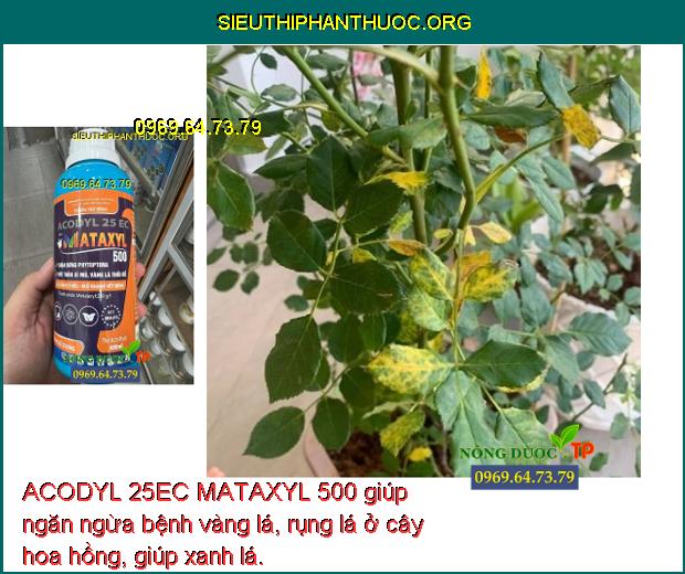 ACODYL 25EC MATAXYL 500- Đặc Trị Nứt Thân- Xì Mủ- Vàng Lá- Thối Rễ ...
