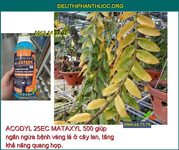 ACODYL 25EC MATAXYL 500- Đặc Trị Nứt Thân- Xì Mủ- Vàng Lá- Thối Rễ ...