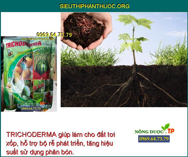 TRICHODERMA Tỷ Bào Tử- Tái Tạo Mùn Đất- Đất Tơi Xốp- Kháng Nấm Bệnh ...