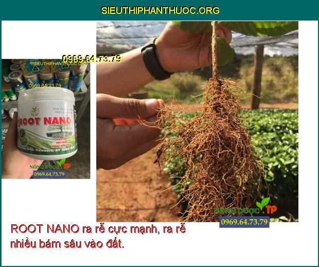 ROOT NANO- Kích Rễ Mạnh- Vọt Đọt Nhanh- Phục Hồi Cây- Trái Lớn Nhanh ...