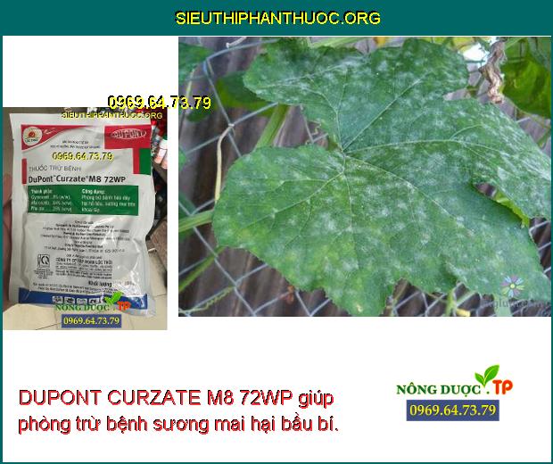 DUPONT CURZATE M8 72WP- Đặc Trị Bệnh Héo Dây Hại Hồ Tiêu- Sương Mai Hại ...