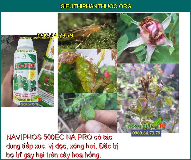 NAVIPHOS 500EC NA PRO- Đặc Trị Sâu Đục Thân- Sâu Vẽ Bùa- Bọ Trĩ- Nhện ...