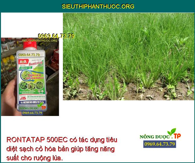 RONTATAP 500EC- Thuốc Diệt Các Loại Cỏ- Cỏ Mần Trầu- Cỏ Lồng Vực- Cây ...