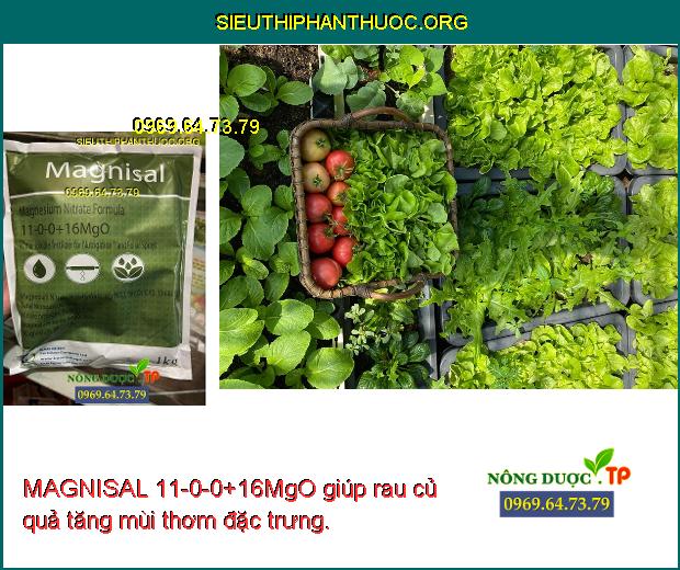 MAGNISAL 11-0-0+16MgO- Tăng Quang Hợp- Xanh Lá- Ra Rễ Mạnh- Trái To ...