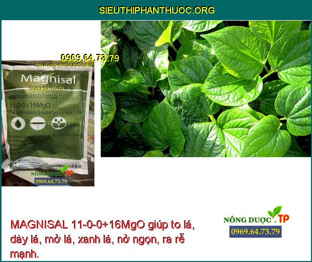 MAGNISAL 11-0-0+16MgO- Tăng Quang Hợp- Xanh Lá- Ra Rễ Mạnh- Trái To ...