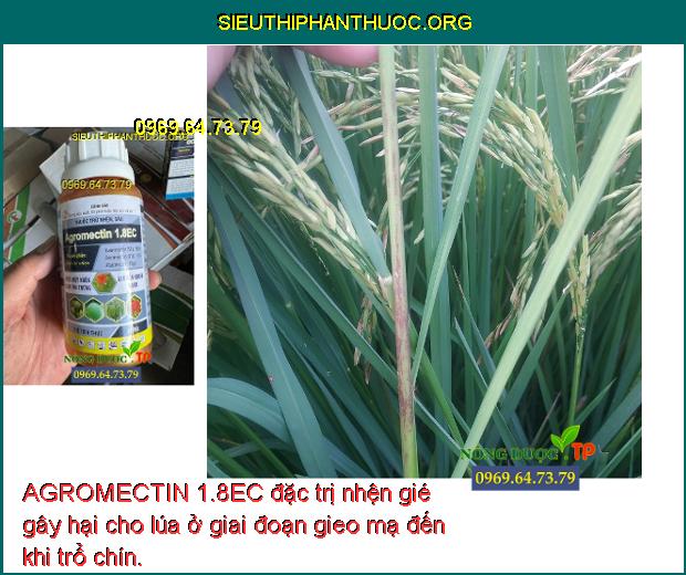 AGROMECTIN 1.8EC Đặc Trị Nhện Đỏ- Nhện Gié- Sâu Tơ- Bọ Nhảy- Sâu Xanh ...