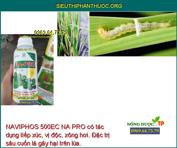 NAVIPHOS 500EC NA PRO- Đặc Trị Sâu Đục Thân- Sâu Vẽ Bùa- Bọ Trĩ- Nhện ...