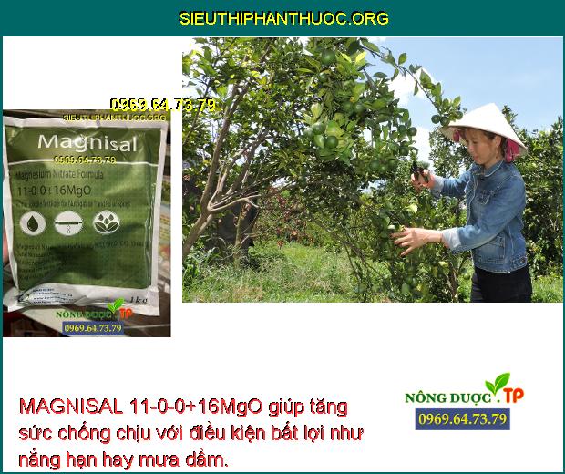 MAGNISAL 11-0-0+16MgO- Tăng Quang Hợp- Xanh Lá- Ra Rễ Mạnh- Trái To ...