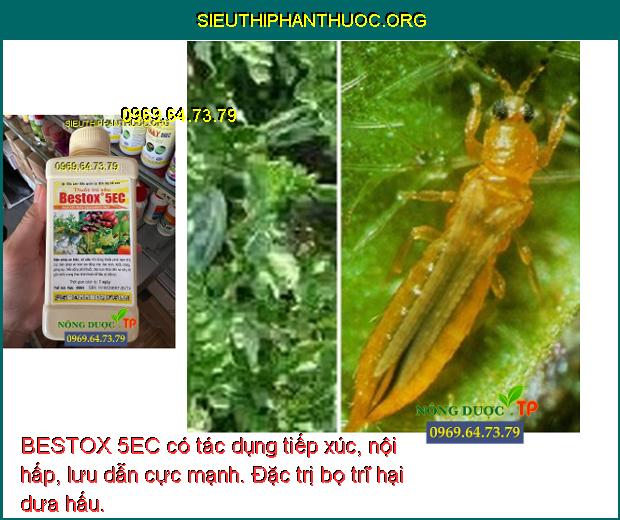 BESTOX 5EC- Đặc Trị Bọ Trĩ- Sâu Cuốn Lá- Rệp Sáp- Bọ Xít- Rệp. - SIÊU ...