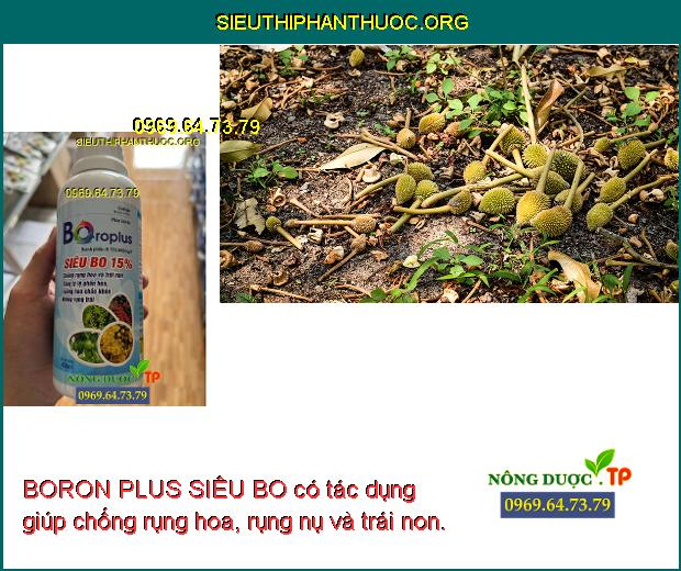 BORON PLUS SIÊU BO- Chống Rụng Hoa- Trái Non- Tăng Tỷ Lệ Phấn Hoa ...