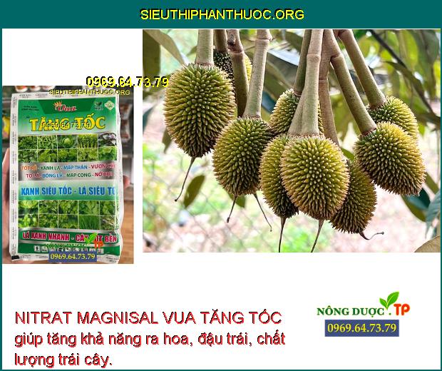NITRAT MAGNISAL VUA TĂNG TỐC- Tốt Rễ- Xanh Lá- Mập Thân- Vươn Cây ...