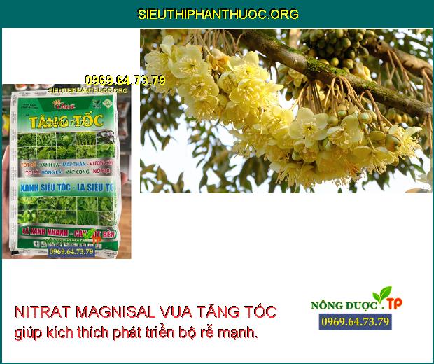 NITRAT MAGNISAL VUA TĂNG TỐC- Tốt Rễ- Xanh Lá- Mập Thân- Vươn Cây ...
