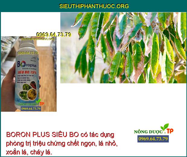 BORON PLUS SIÊU BO- Chống Rụng Hoa- Trái Non- Tăng Tỷ Lệ Phấn Hoa ...