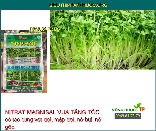 NITRAT MAGNISAL VUA TĂNG TỐC- Tốt Rễ- Xanh Lá- Mập Thân- Vươn Cây ...
