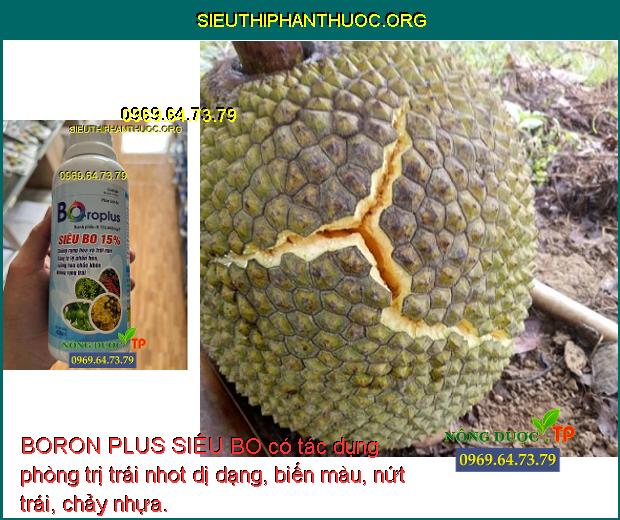 BORON PLUS SIÊU BO- Chống Rụng Hoa- Trái Non- Tăng Tỷ Lệ Phấn Hoa ...