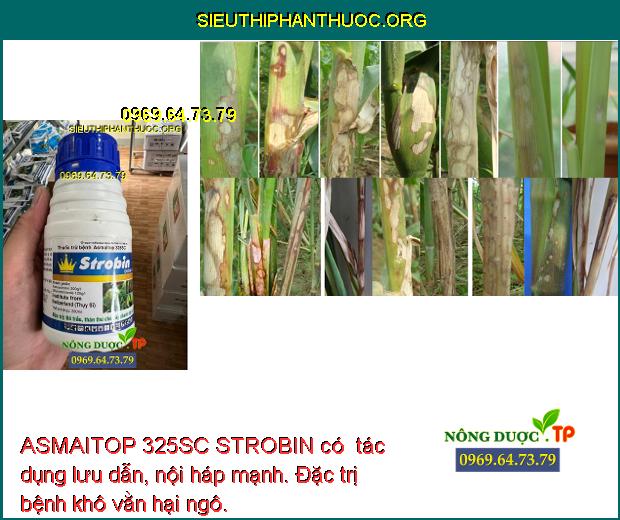 ASMAITOP 325SC STROBIN- Đặc Trị Bã Trầu- Thán Thư- Lem Lép Hạt- Vàng Lá. - SIÊU THỊ PHÂN THUỐC