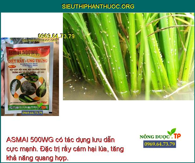 ASMAI 500WG- Đặc Trị Rệp Sáp- Ung Trứng- Rầy Non- Rầy Trưởng Thành ...