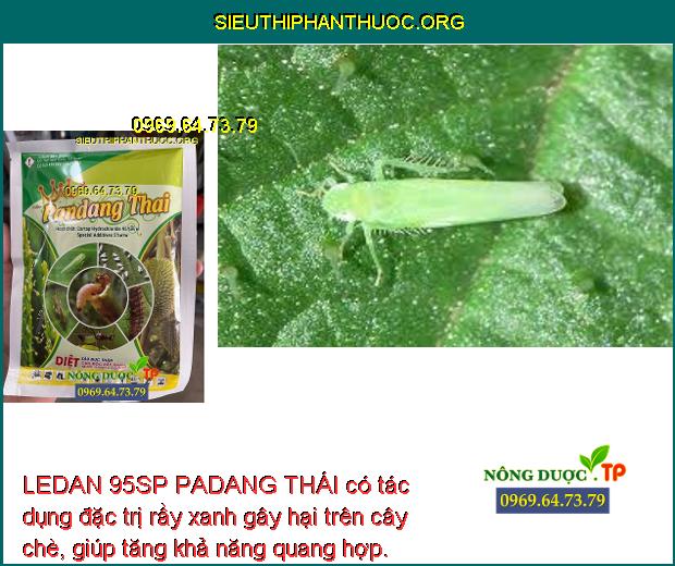 LEDAN 95SP PADANG THÁI- Đặc Trị Sâu Đục Thân- Muỗi Hành- Rầy Xanh ...